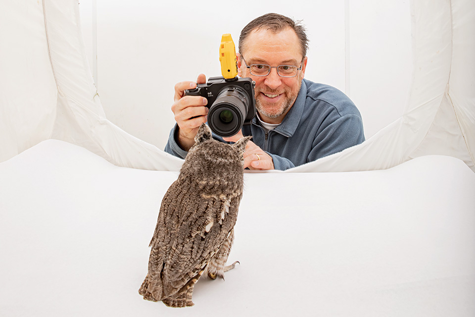 The Photography of Children’s Book Author David FitzSimmons