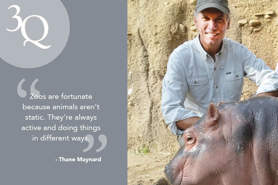 Artist Dan Chudzinski Takes Bigfoot to the Moon