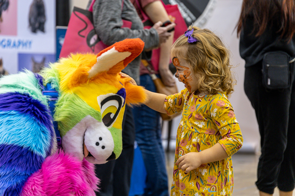 Everything You Need to Know About the International Cat Show in Cleveland