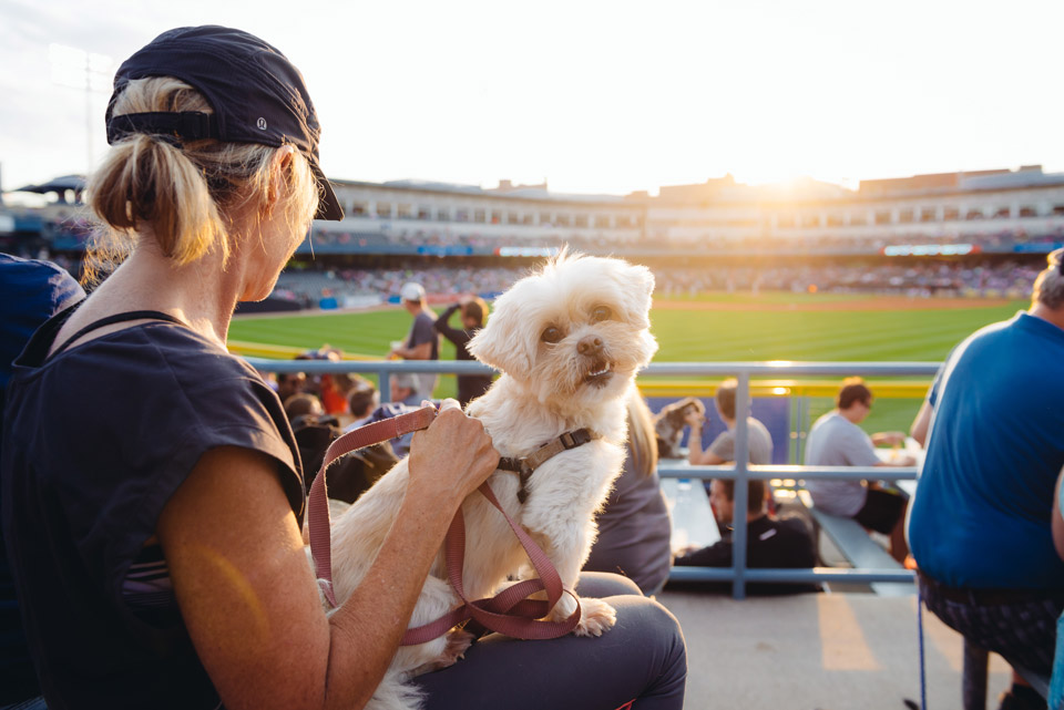 5 Events for Dogs and Their Owners This Fall