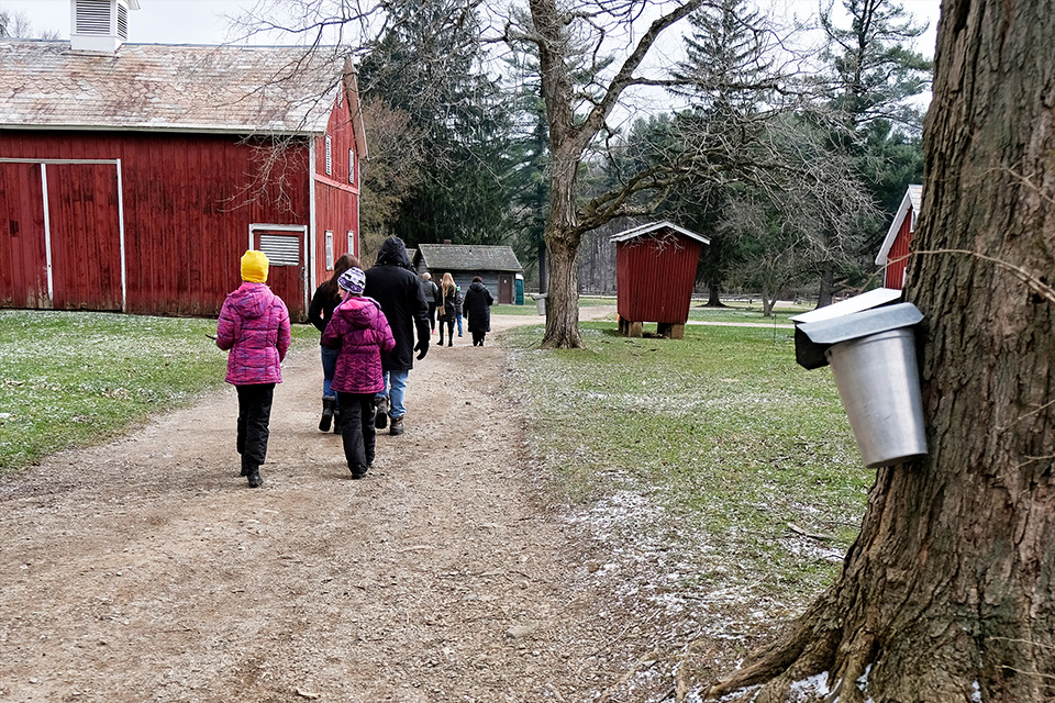 4 Ohio Maple Events Sure to Sweeten the Season