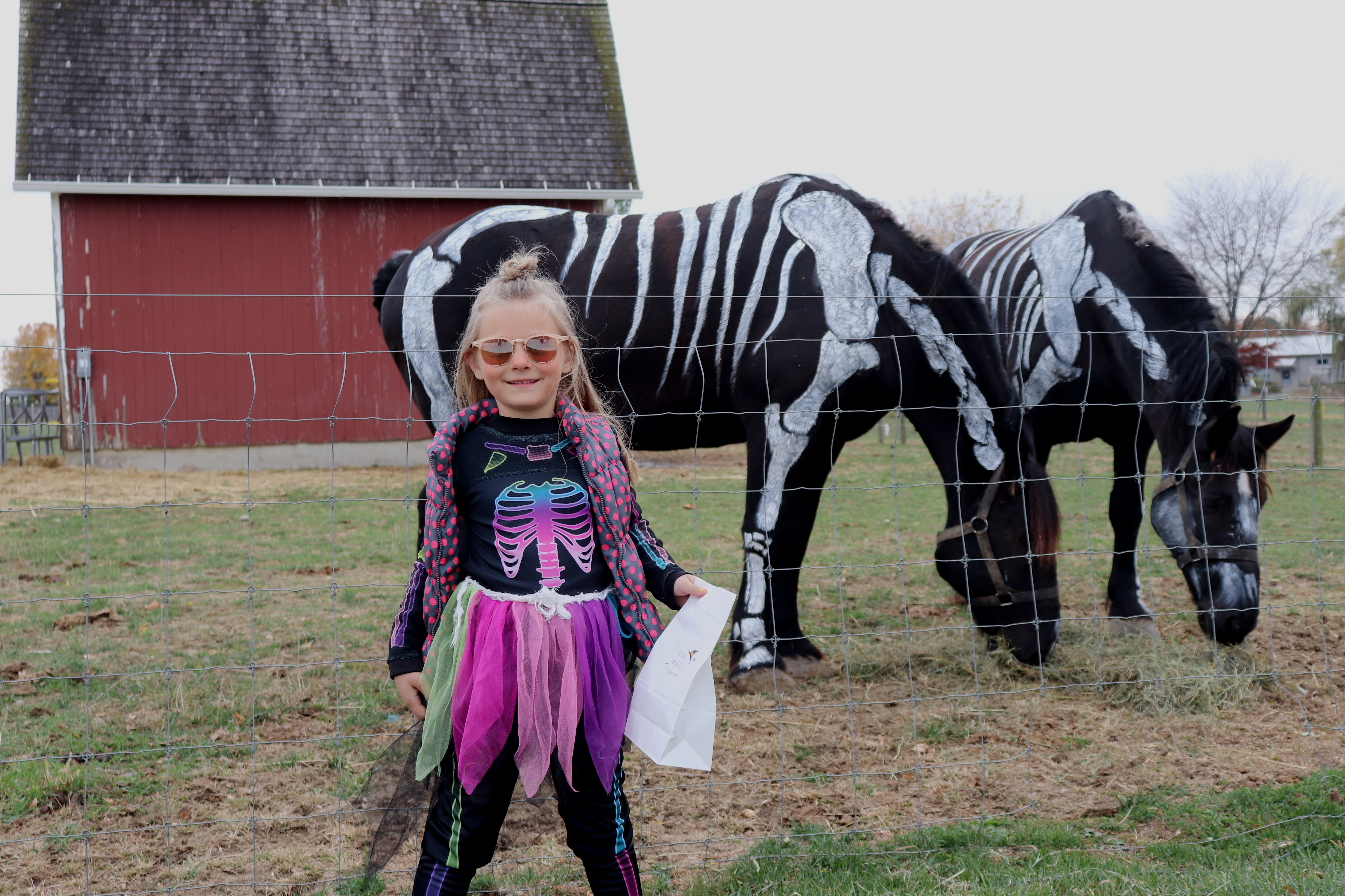 Things to Do This October at Ohio’s Sauder Village