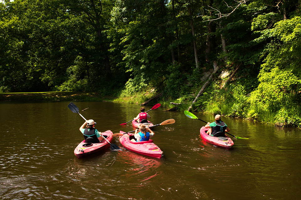 ‘Ohio: Wild at Heart’ Now Showing in Select Theaters Statewide