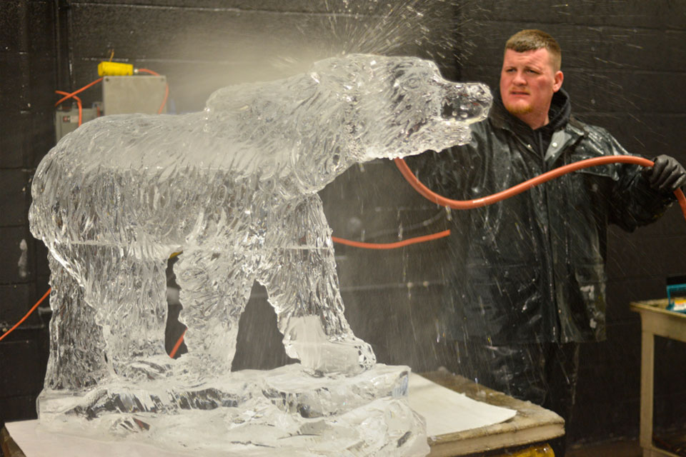 Hamilton IceFest